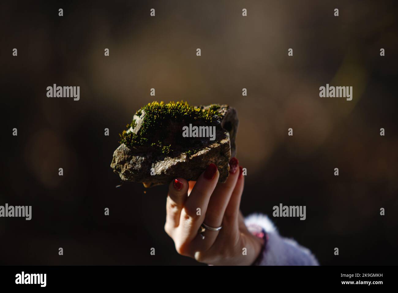 A closeup shot of red nailed woman's hand holding a mouldy stone Stock ...