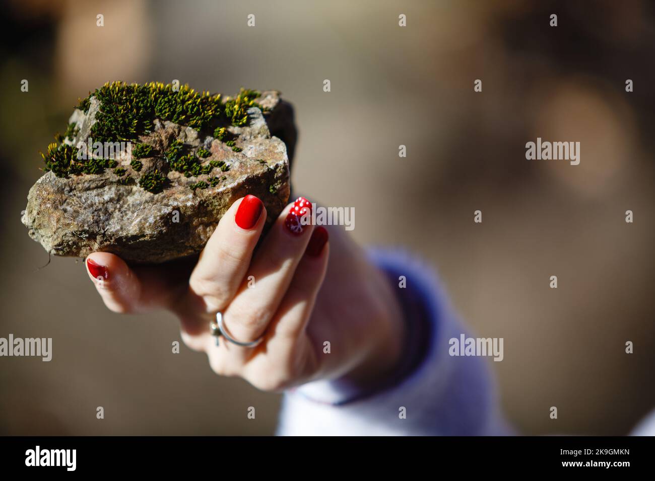 A closeup shot of red nailed woman's hand holding a mouldy stone Stock ...