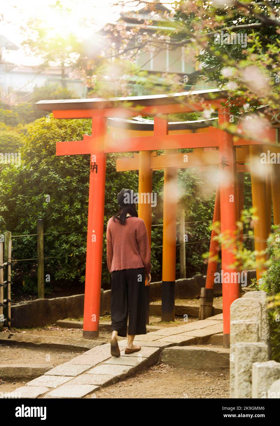 Woman from back walking through a tunnel of Japanese Torii gates with a ...