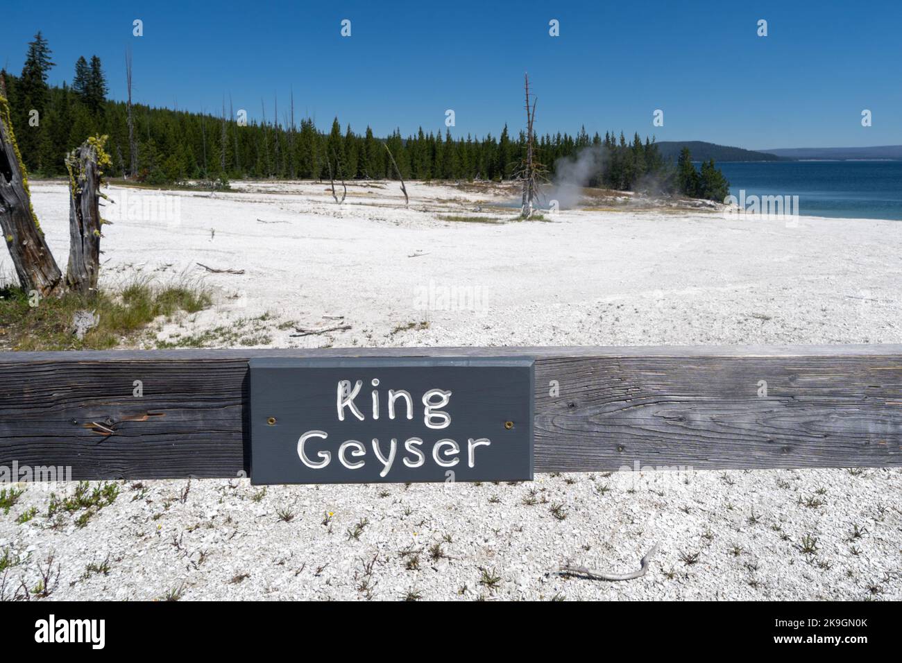 King Geyser in Yellowstone National Park Stock Photo - Alamy