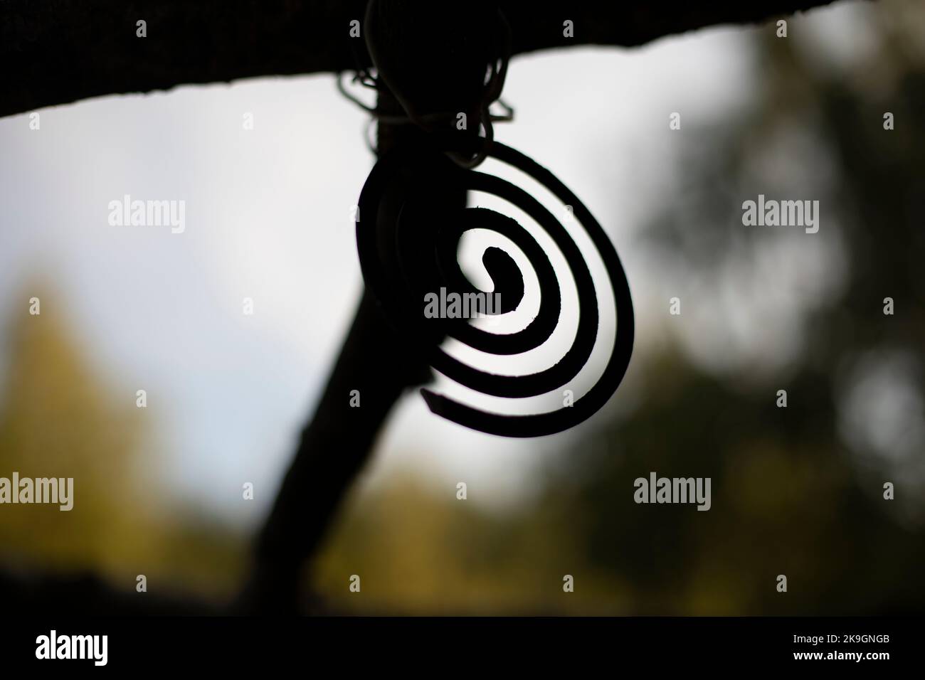 Insect spiral. Mosquito repellent. Round object on background of nature ...