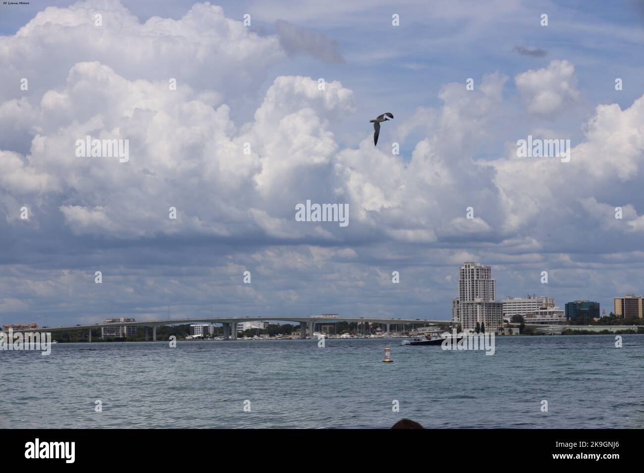 The Tampa Bay area in Clearwater, FL near Sand Key Park Stock Photo - Alamy