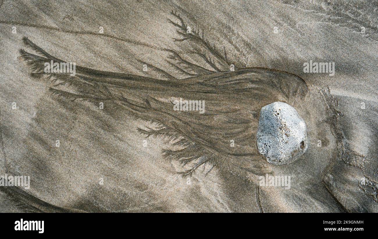 A top view of a beautiful pattern on the sand of the Bay of Bengal and ...