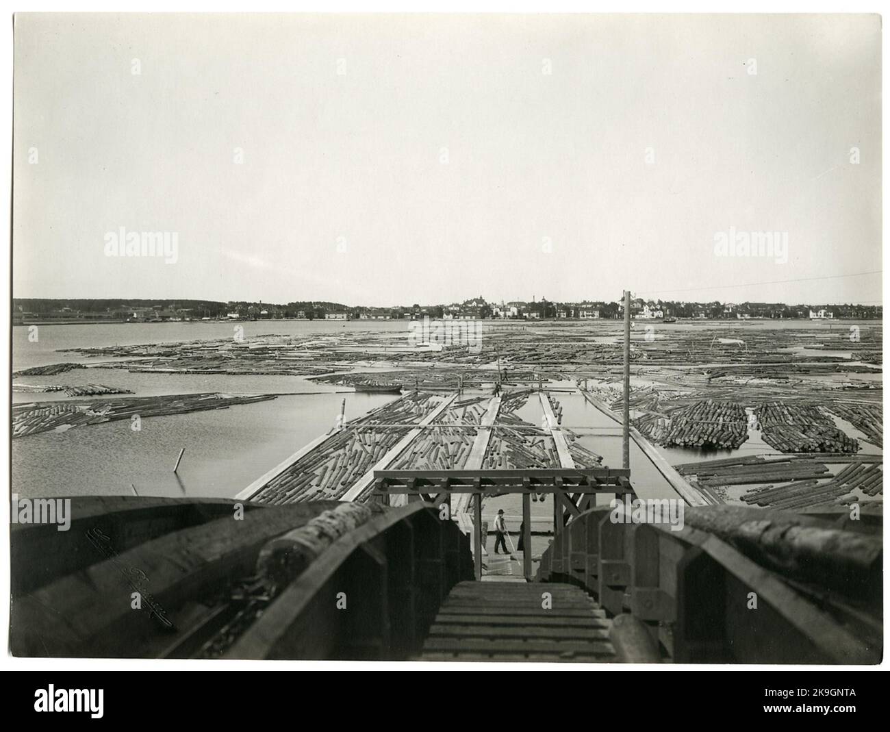 Timmer Cut Out Stock Images & Pictures - Alamy