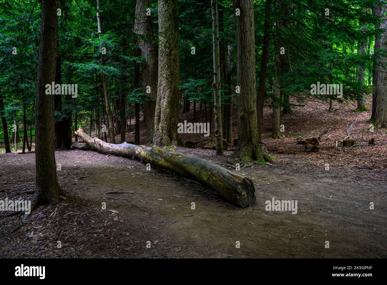 Chestnut Ridge Park Eternal Flame Falls Trail Stock Photo - Alamy