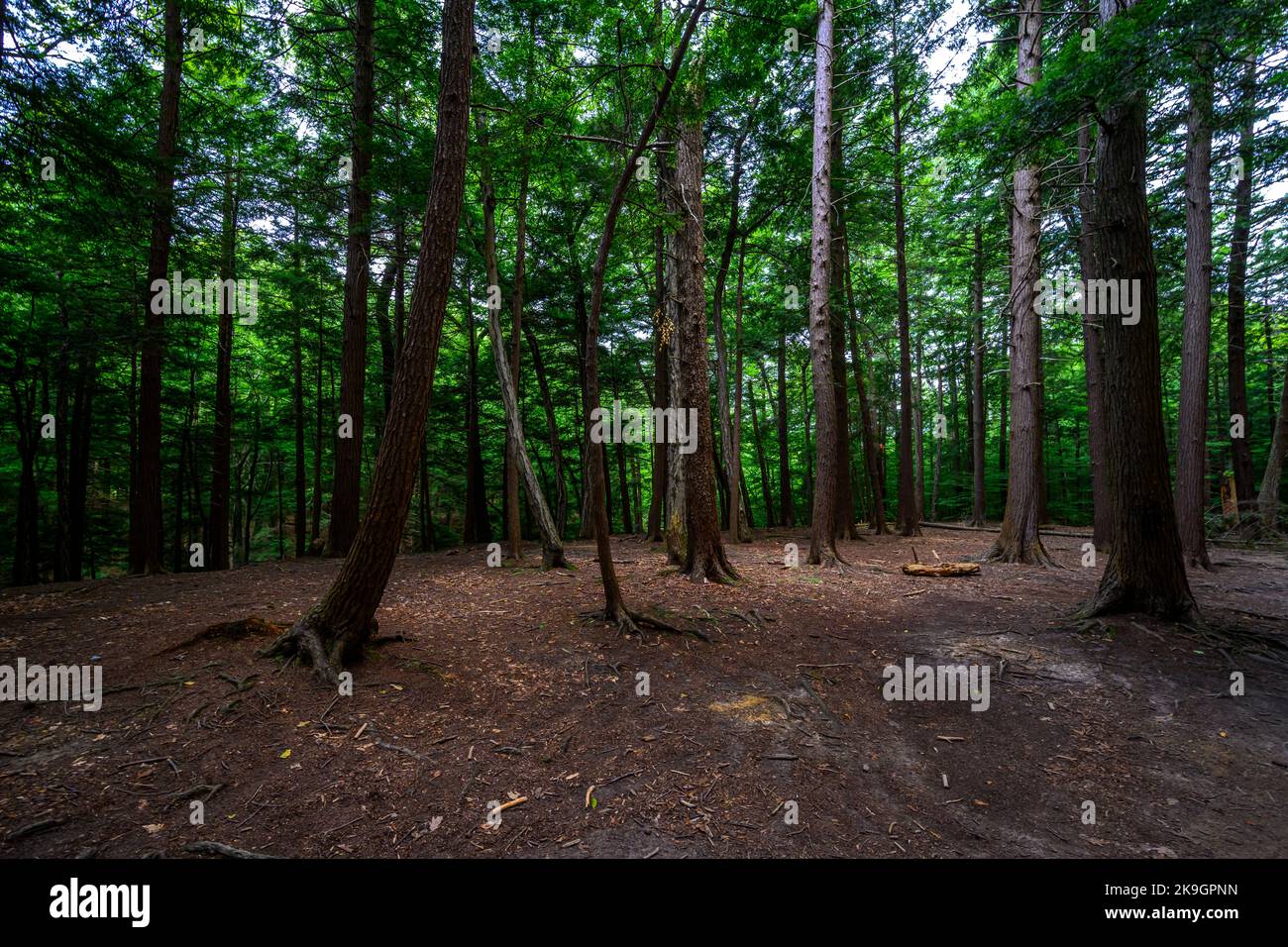 Chestnut Ridge Park Eternal Flame Falls Trail Stock Photo - Alamy