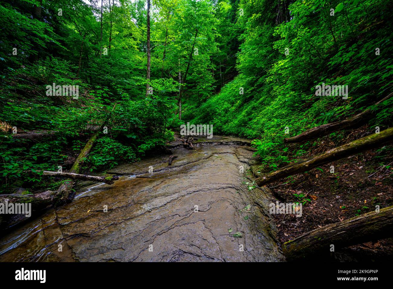 Chestnut Ridge Park Eternal Flame Falls Trail Stock Photo - Alamy