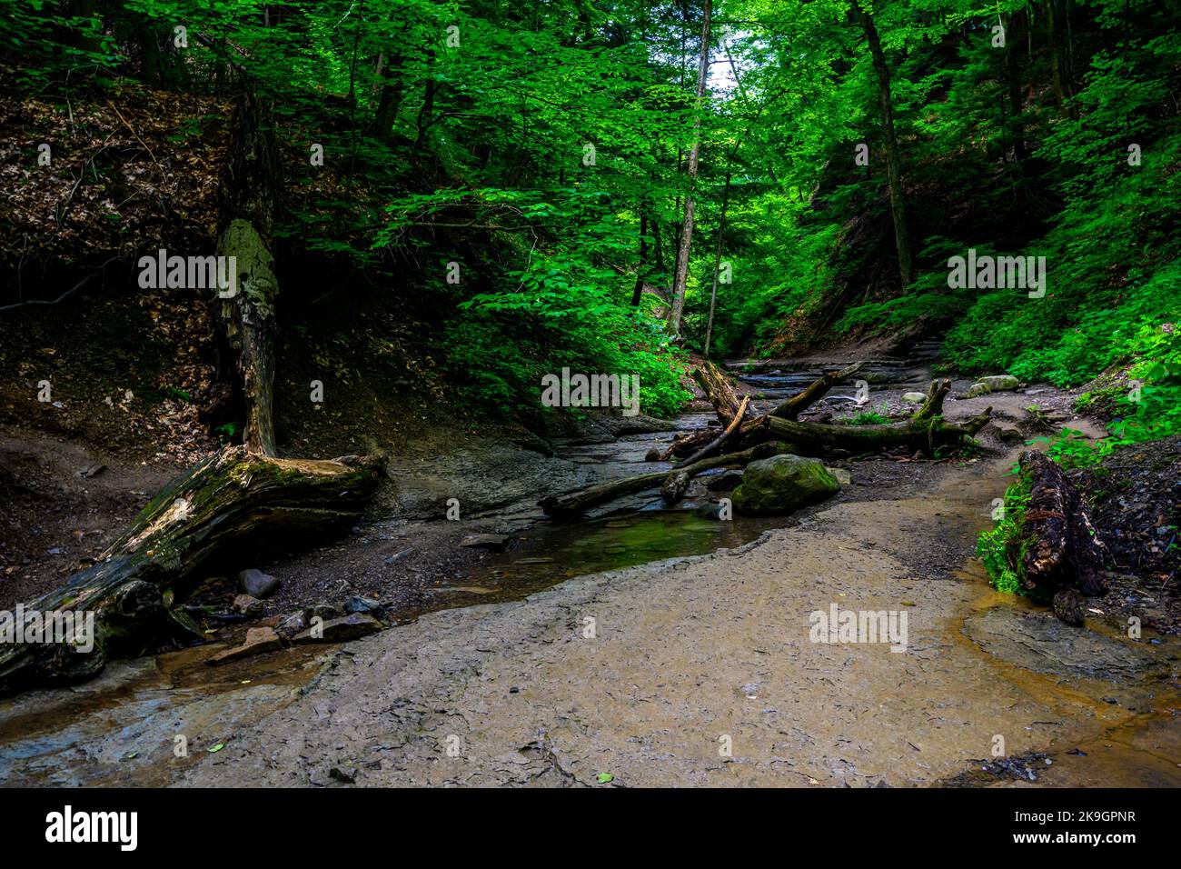 Chestnut Ridge Park Eternal Flame Falls Trail Stock Photo - Alamy