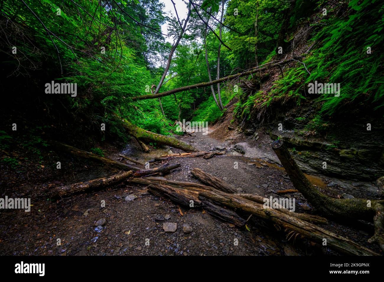Chestnut Ridge Park Eternal Flame Falls Trail Stock Photo - Alamy