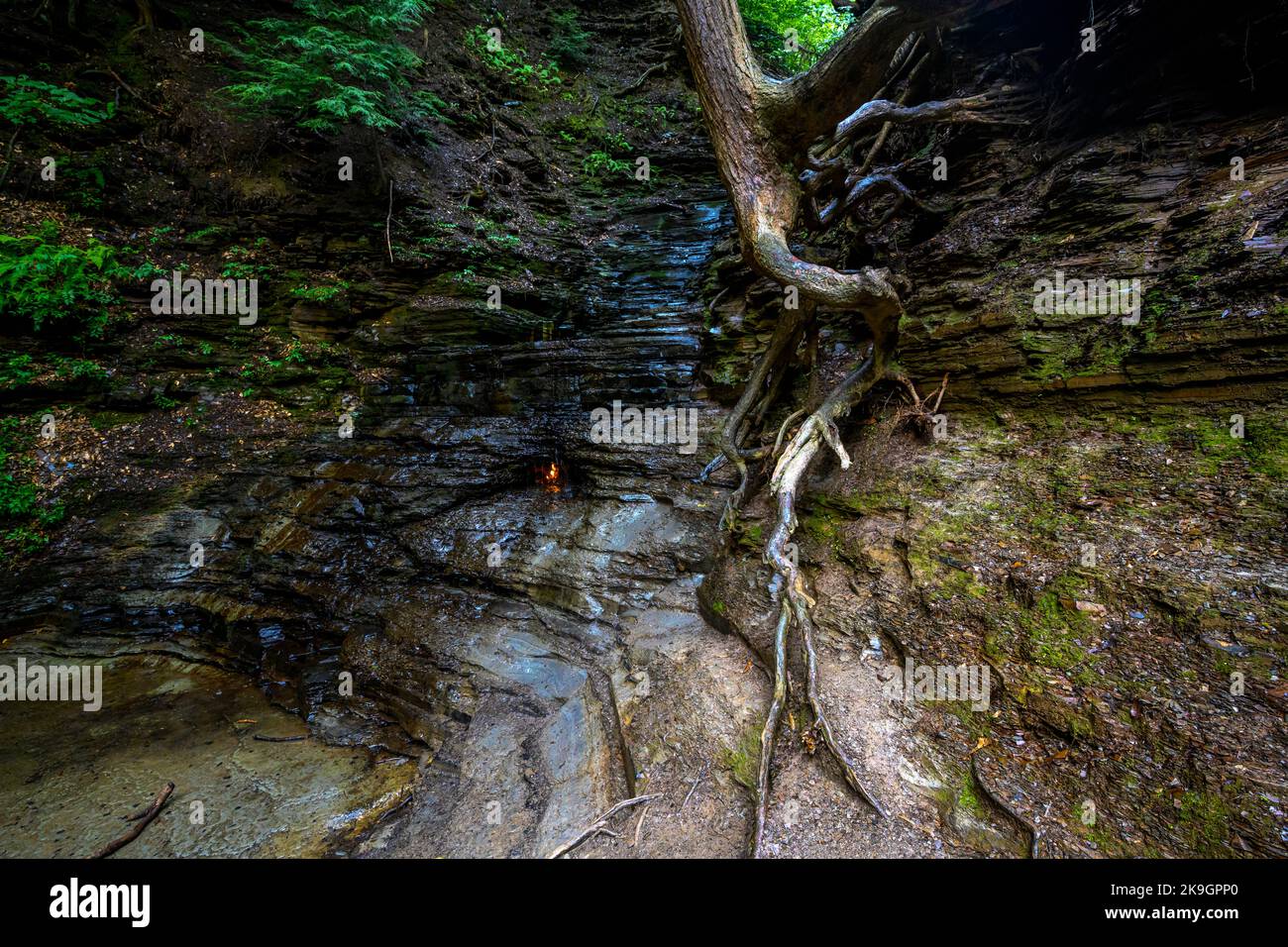 Chestnut Ridge Park Eternal Flame Falls Trail Stock Photo - Alamy