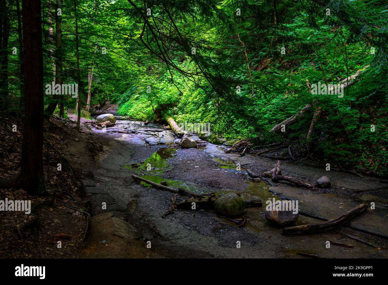 Chestnut Ridge Park Eternal Flame Falls Trail Stock Photo - Alamy