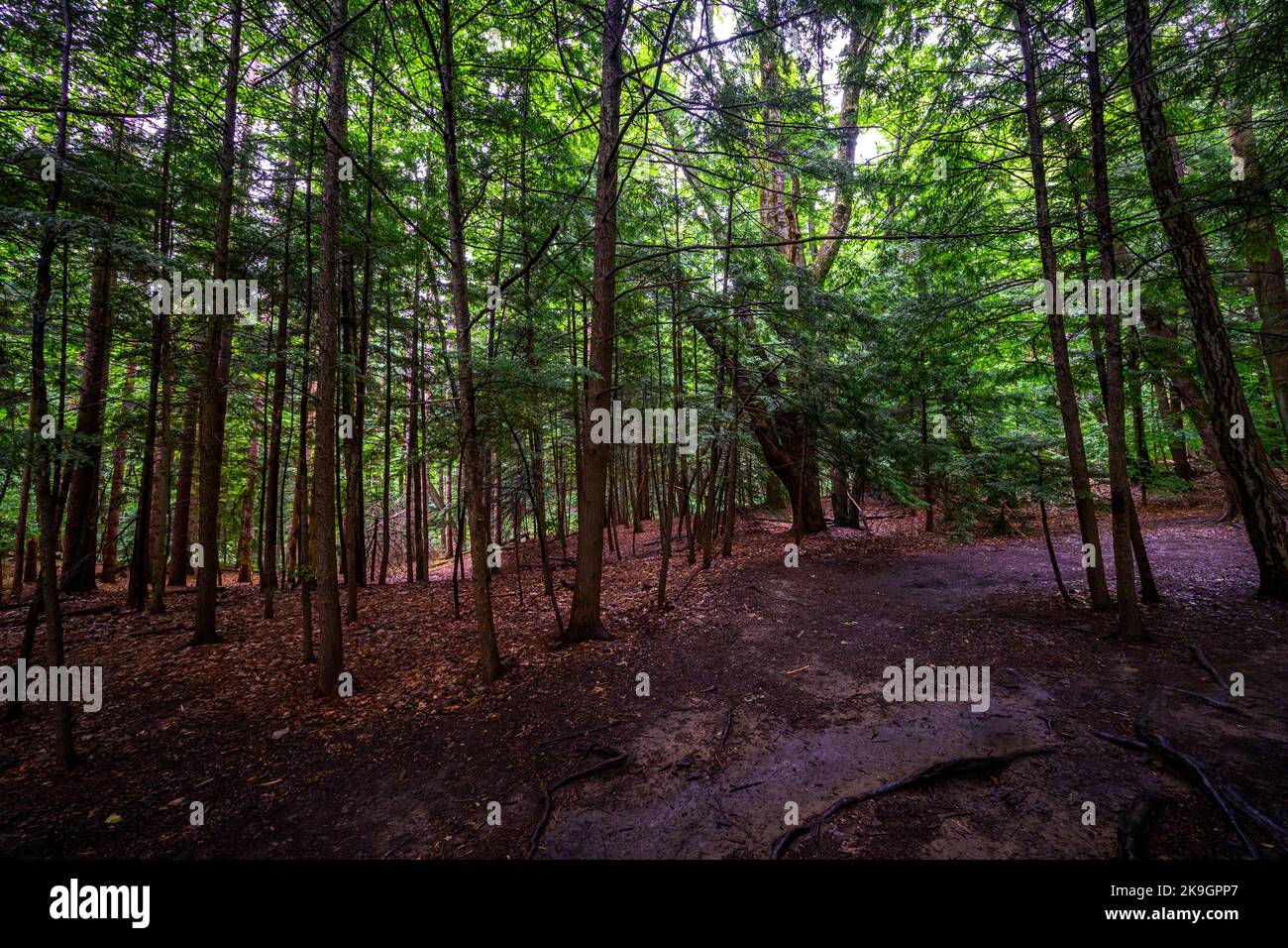 Chestnut Ridge Park Eternal Flame Falls Trail Stock Photo - Alamy