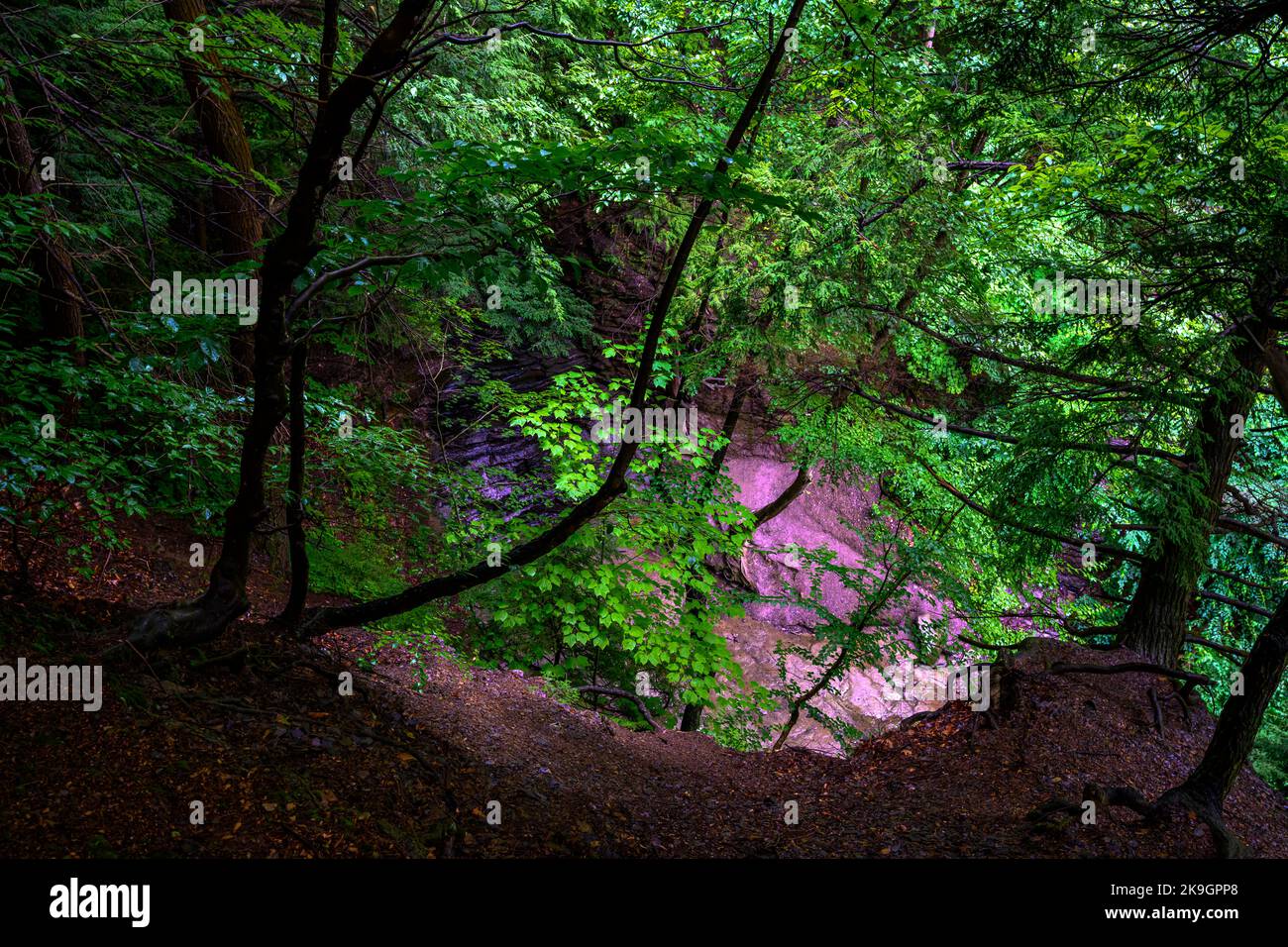 Chestnut Ridge Park Eternal Flame Falls Trail Stock Photo - Alamy