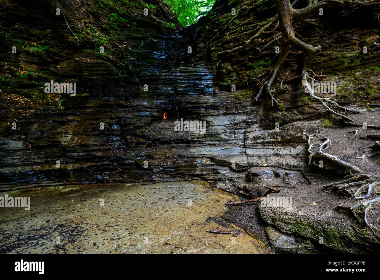 Chestnut Ridge Park Eternal Flame Falls Trail Stock Photo - Alamy