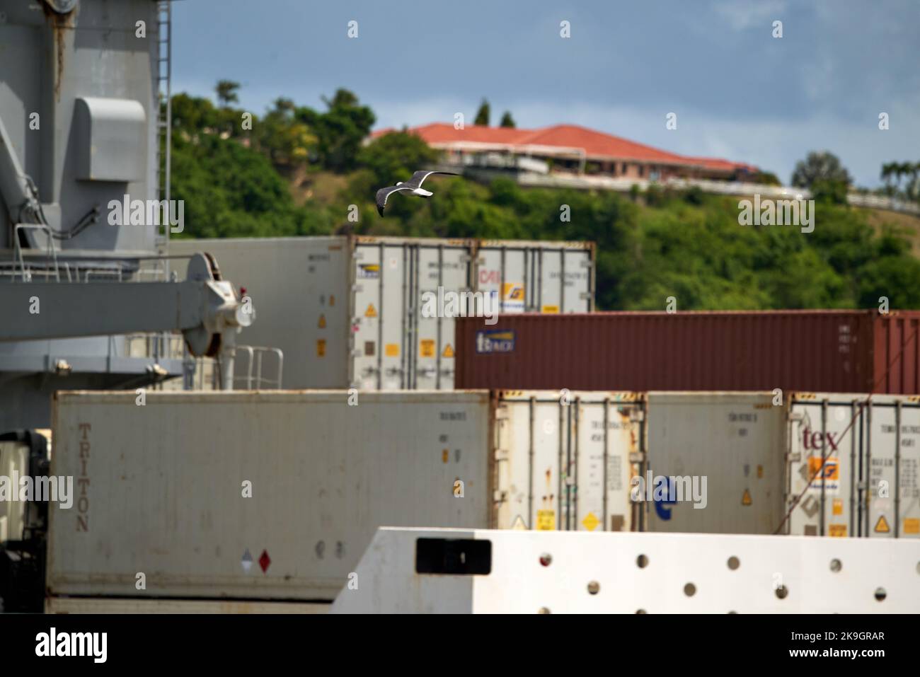 Bird containers hi-res stock photography and images - Alamy