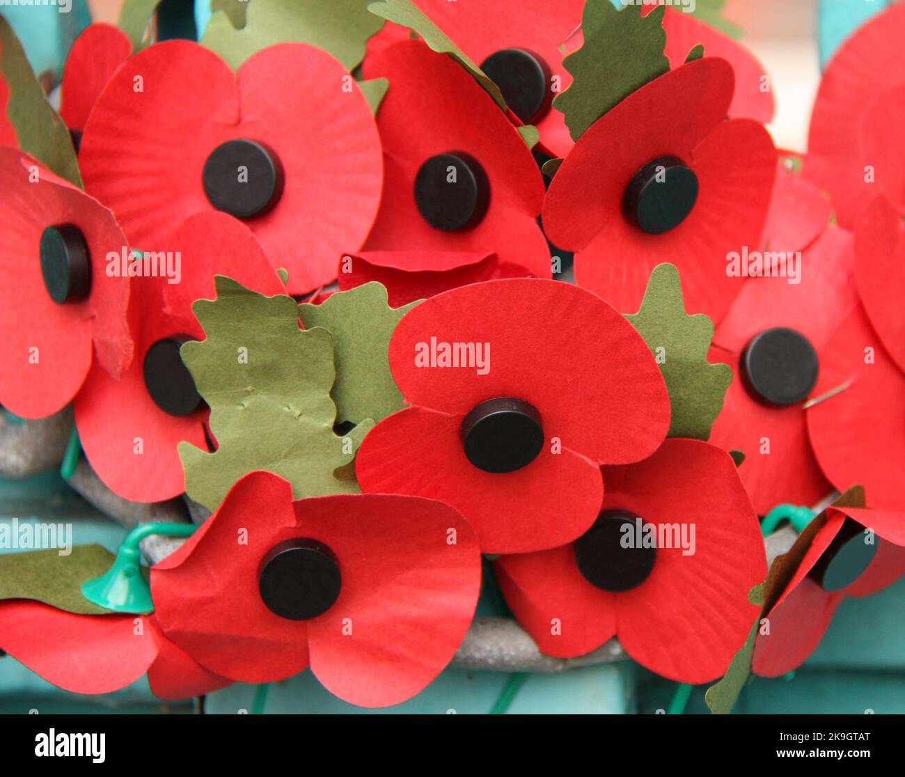 A Collection of Remembrance Day Red Poppys Stock Photo - Alamy