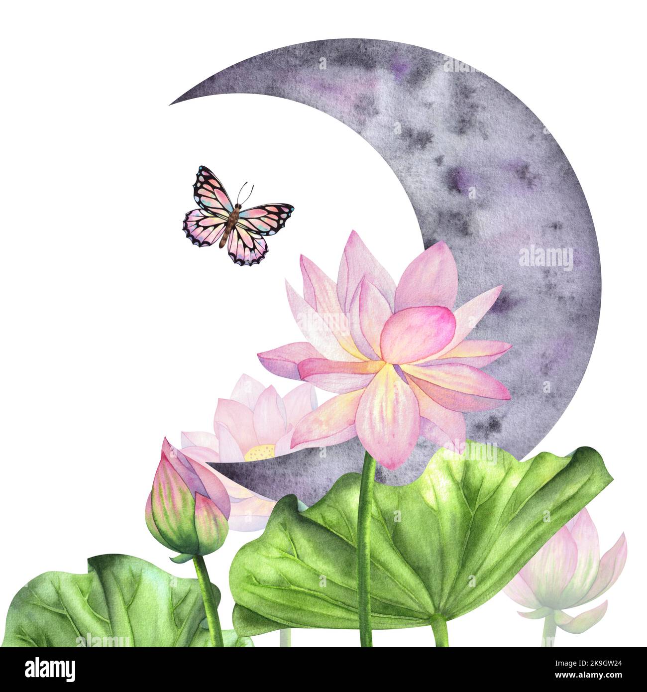 Moon Flower Lotus