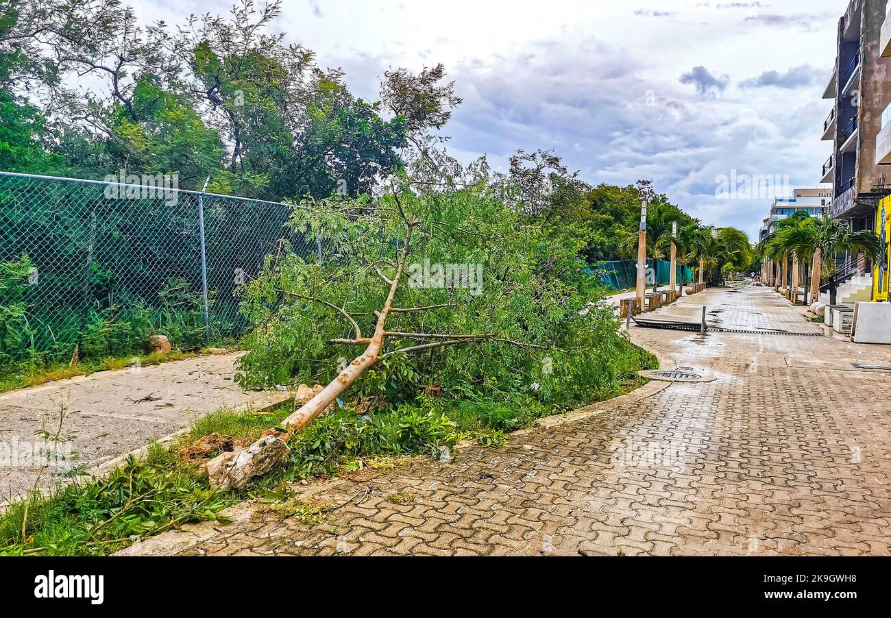 Hurricane 2021 in Playa del Carmen Quintana Roo Mexico extreme wind ...