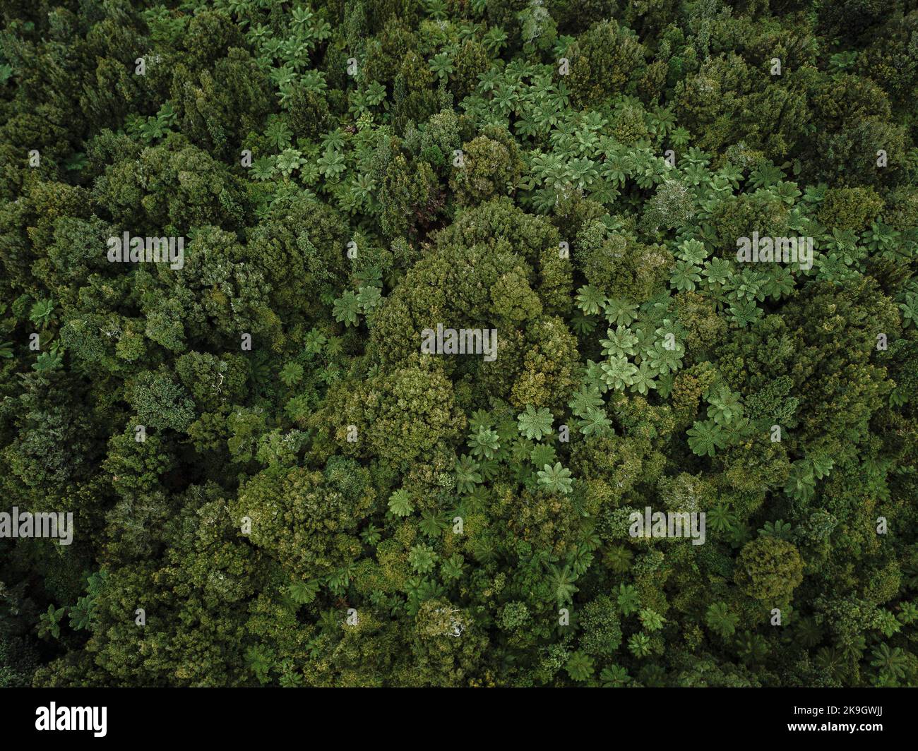 Shot zenital hi-res stock photography and images - Alamy