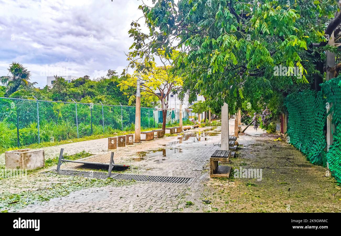 Hurricane 2021 in Playa del Carmen Quintana Roo Mexico extreme wind ...