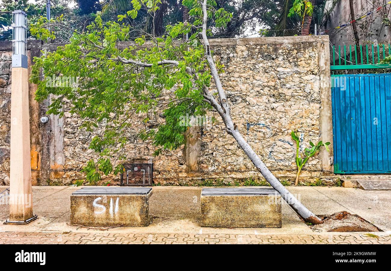 Hurricane 2021 in Playa del Carmen Quintana Roo Mexico extreme wind ...