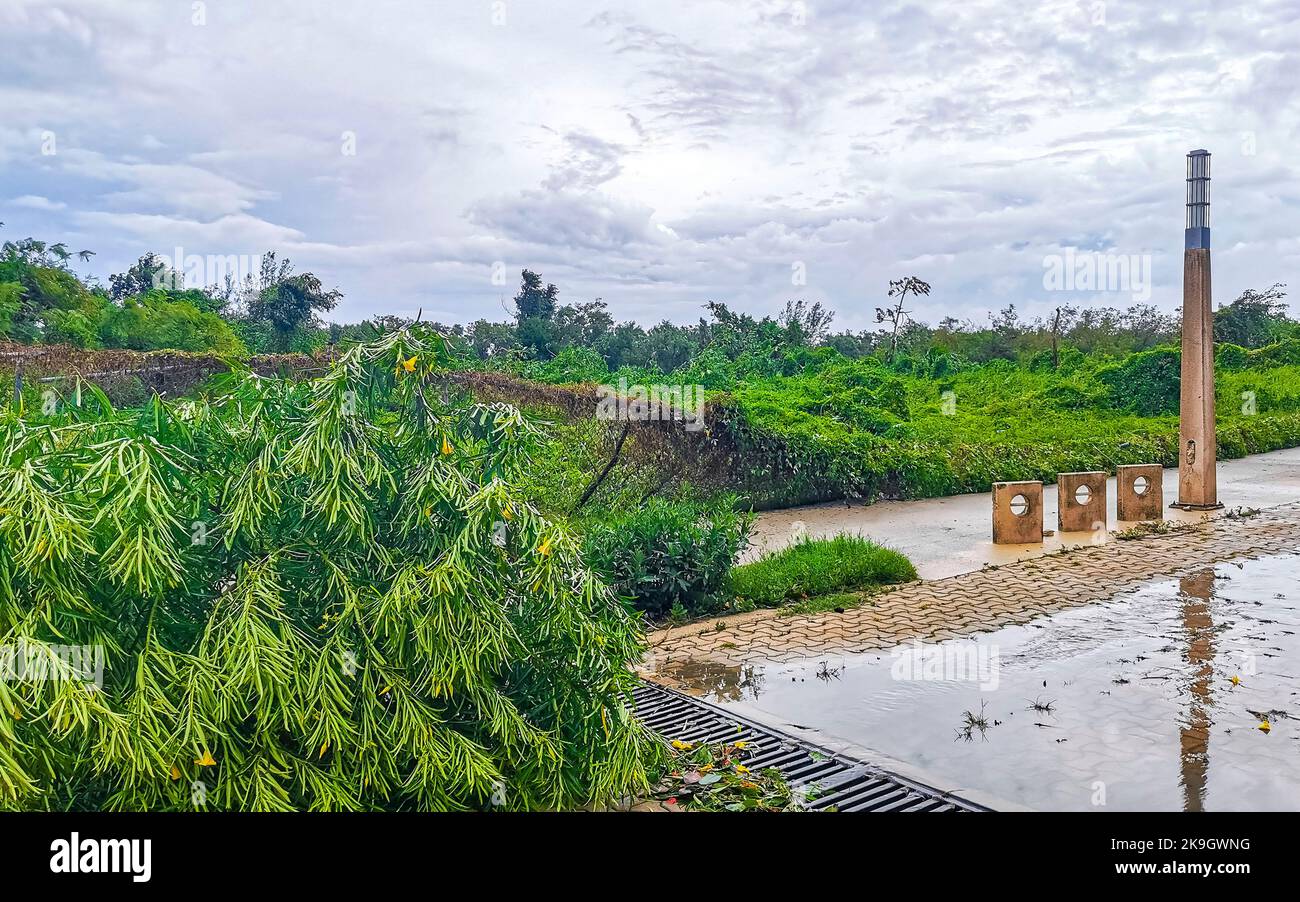 Hurricane 2021 in Playa del Carmen Quintana Roo Mexico extreme wind ...