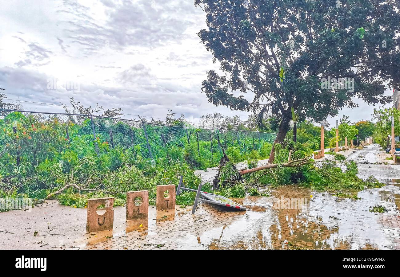 Hurricane 2021 in Playa del Carmen Quintana Roo Mexico extreme wind ...