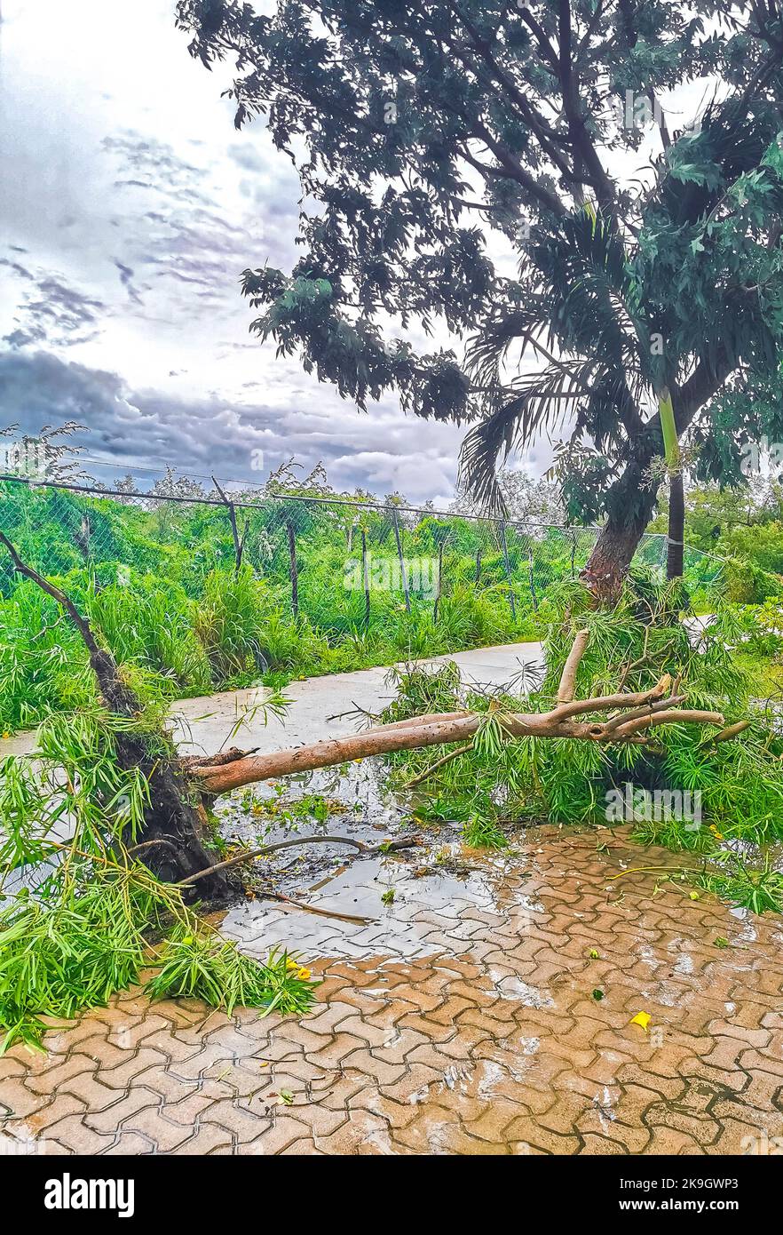 Hurricane 2021 in Playa del Carmen Quintana Roo Mexico extreme wind ...