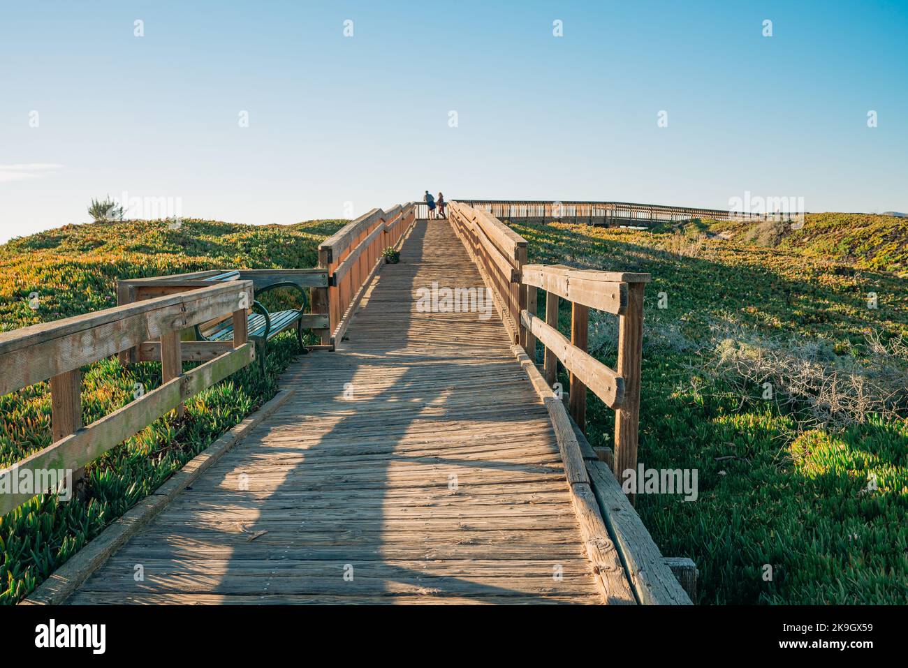 Wooden boardwalk through several diverse natural habitats for viewing ...