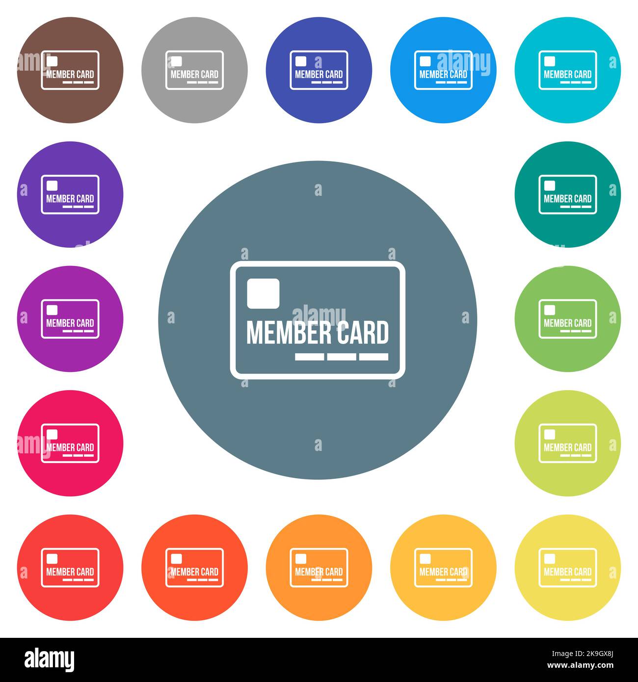 Member card outline flat white icons on round color backgrounds. 17 ...