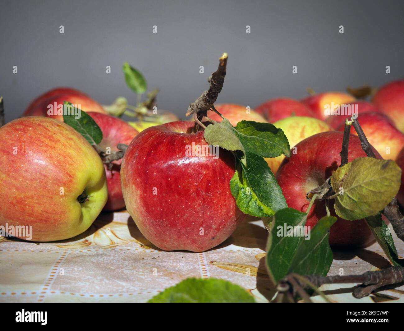 A group of apples on the floor. Bright apples wallpaper Stock Photo - Alamy
