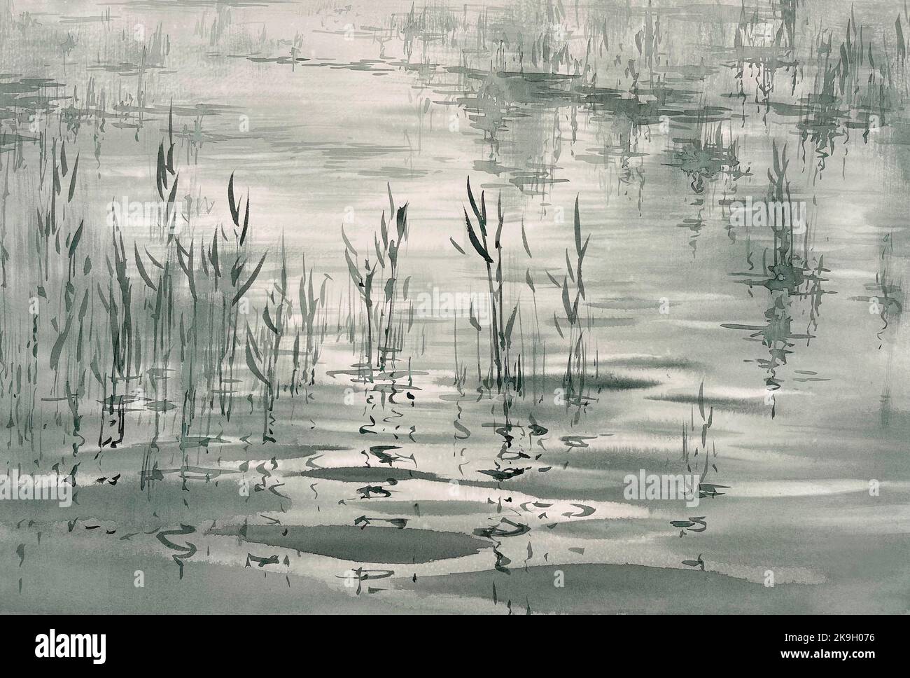 Water grass with reflections in grey watercolor background Stock Photo ...