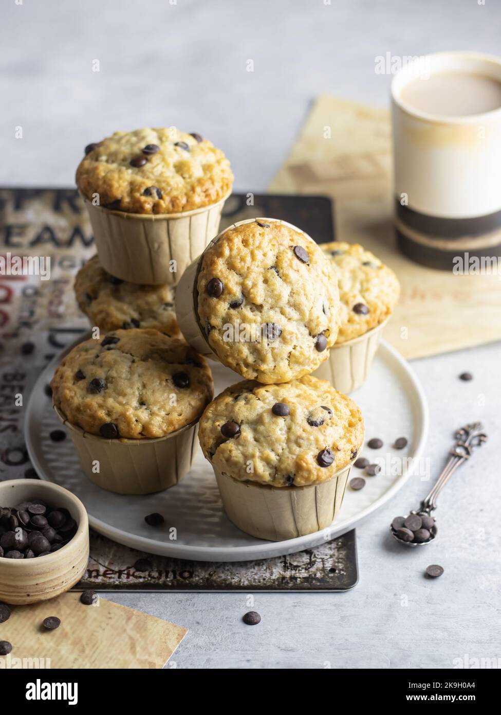 Chocolate chip muffins in plate on light gray background rustic style ...