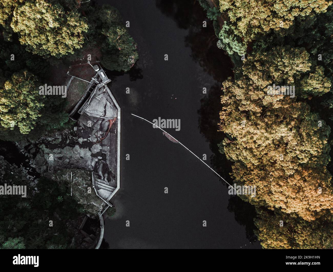 river, forest and reflections in the water Stock Photo - Alamy