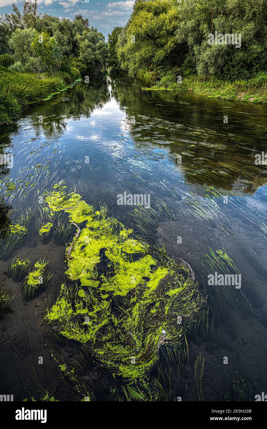 Moder river hi-res stock photography and images - Alamy