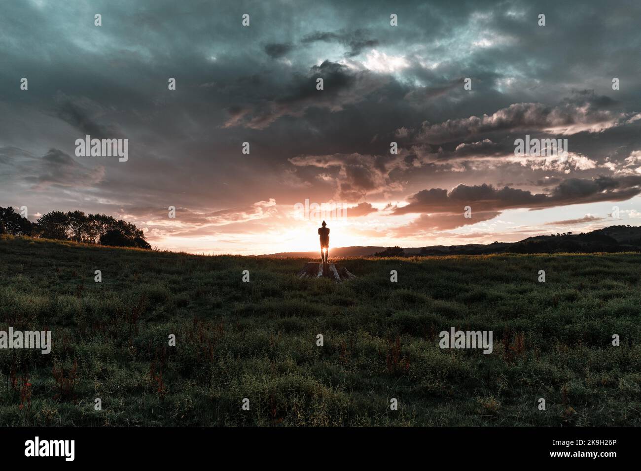 boy standing on a big log in the field under the storm Stock Photo - Alamy