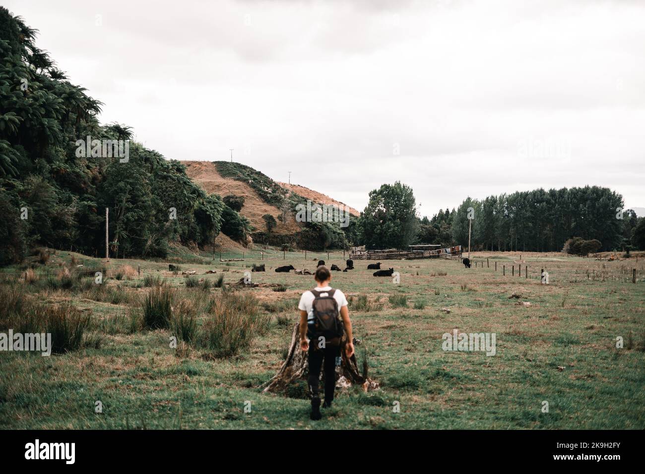 caucasian boy with backpack on his back heading across the meadow ...