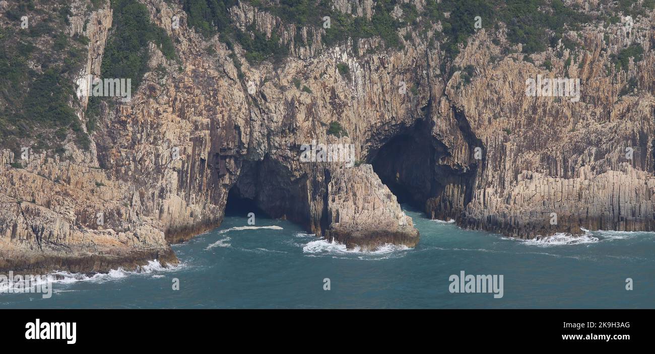 The Agriculture, Fisheries and Conservation Department (AFCD) announced ...