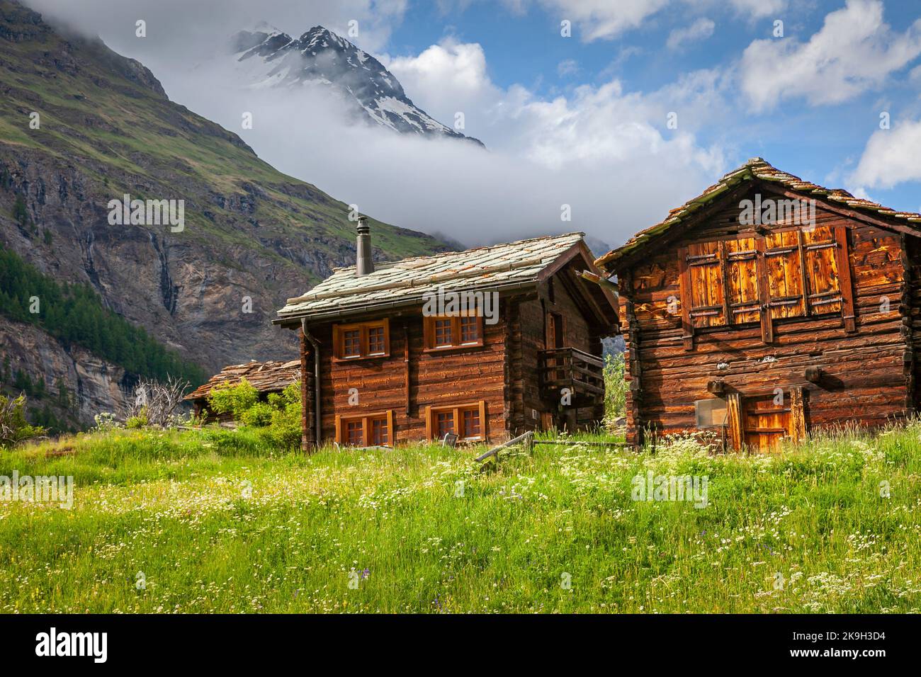 Idyllic swiss landscape with farm barns and wildflowers, Switzerland ...