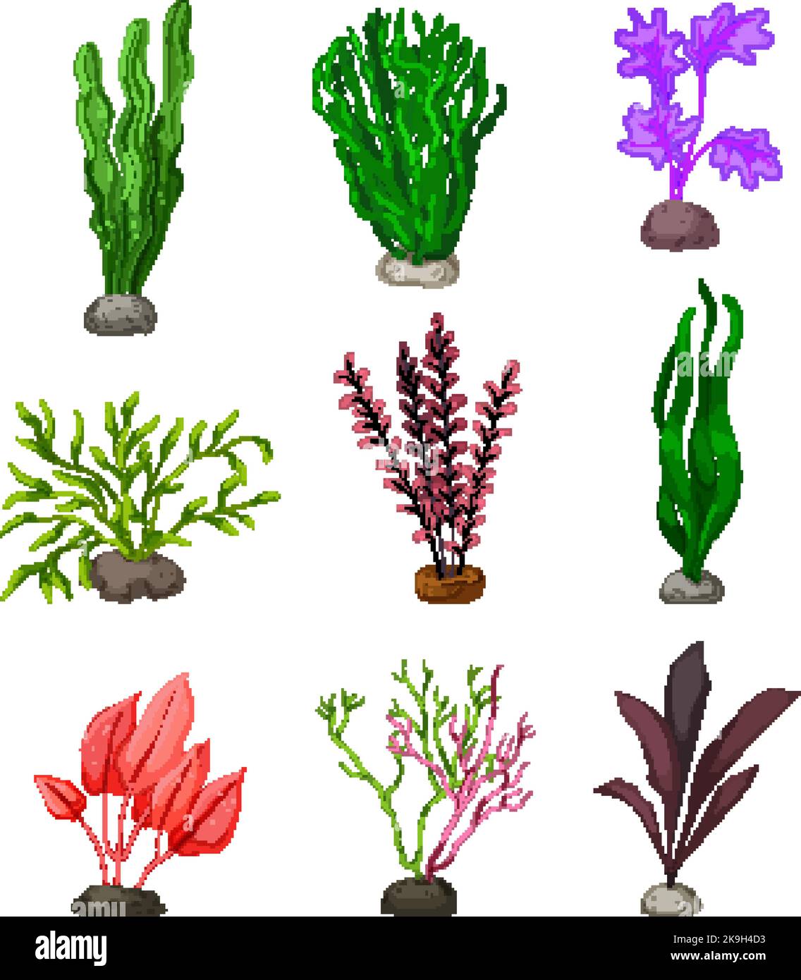 aquarium plant set cartoon vector illustration Stock Vector Image & Art ...
