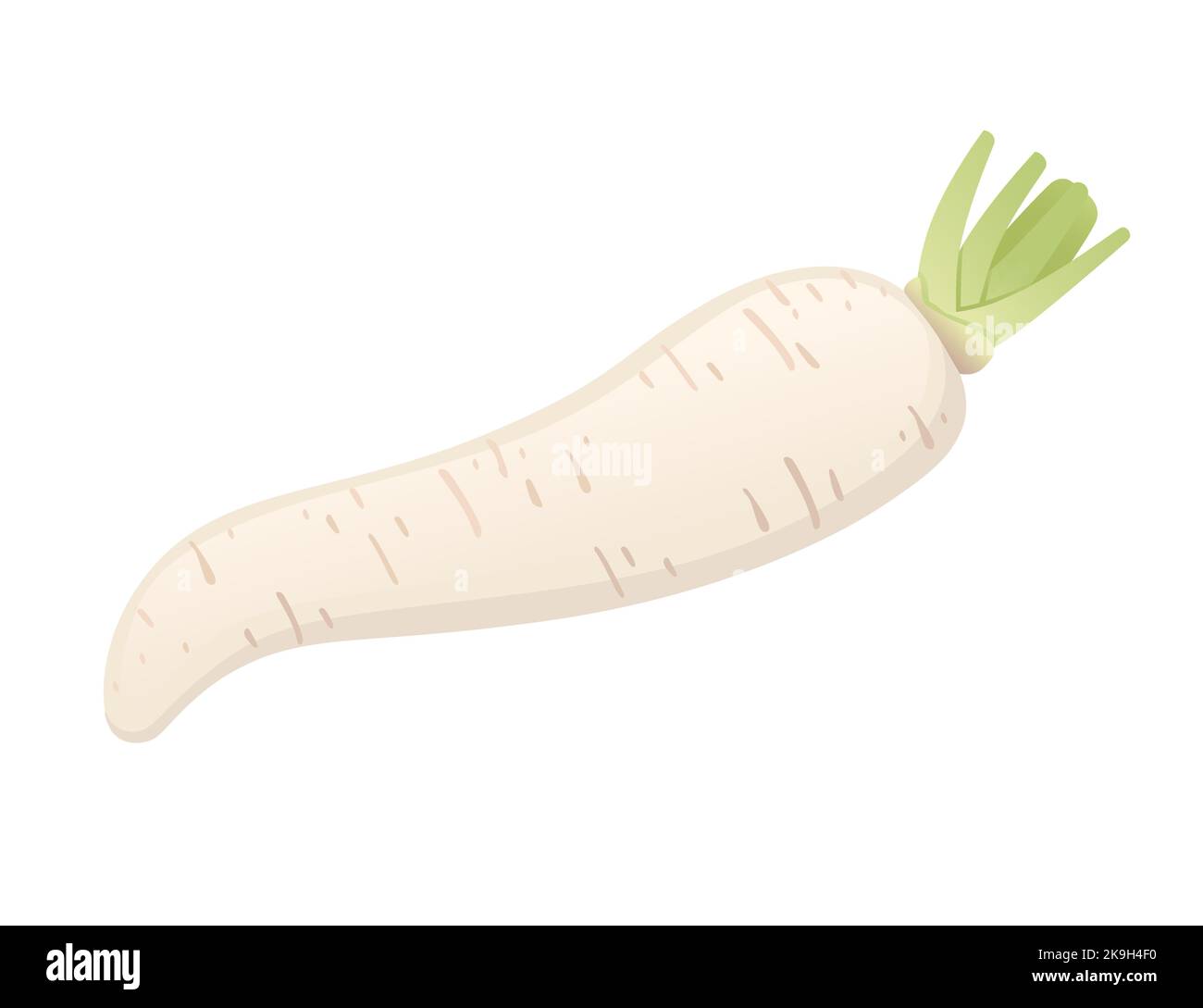 White daikon radish root with green stem cartoon vegetable plant vector ...