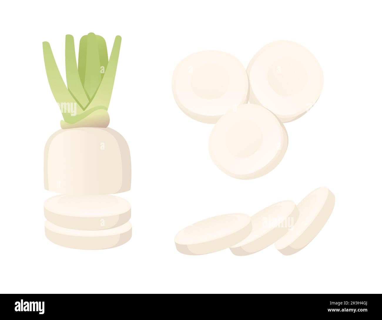 White daikon radish root with green stem cartoon vegetable plant vector ...