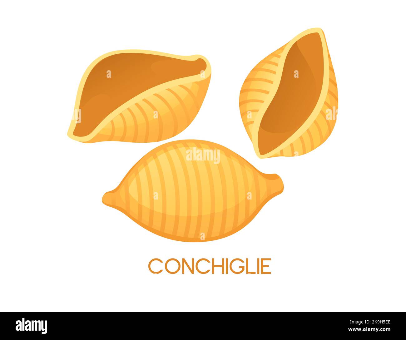 Uncooked italian pasta Conchiglie cuisine staples vector illustration ...