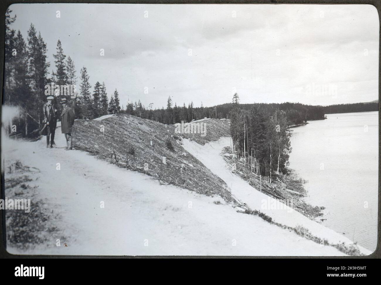 View of the cutting tree comb from the south Stock Photo - Alamy