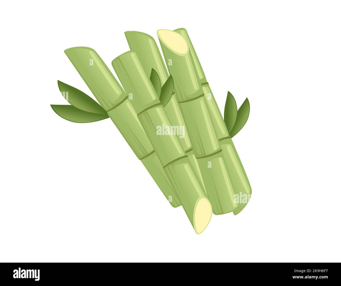 Chopped sugar cane Stock Vector Images - Alamy