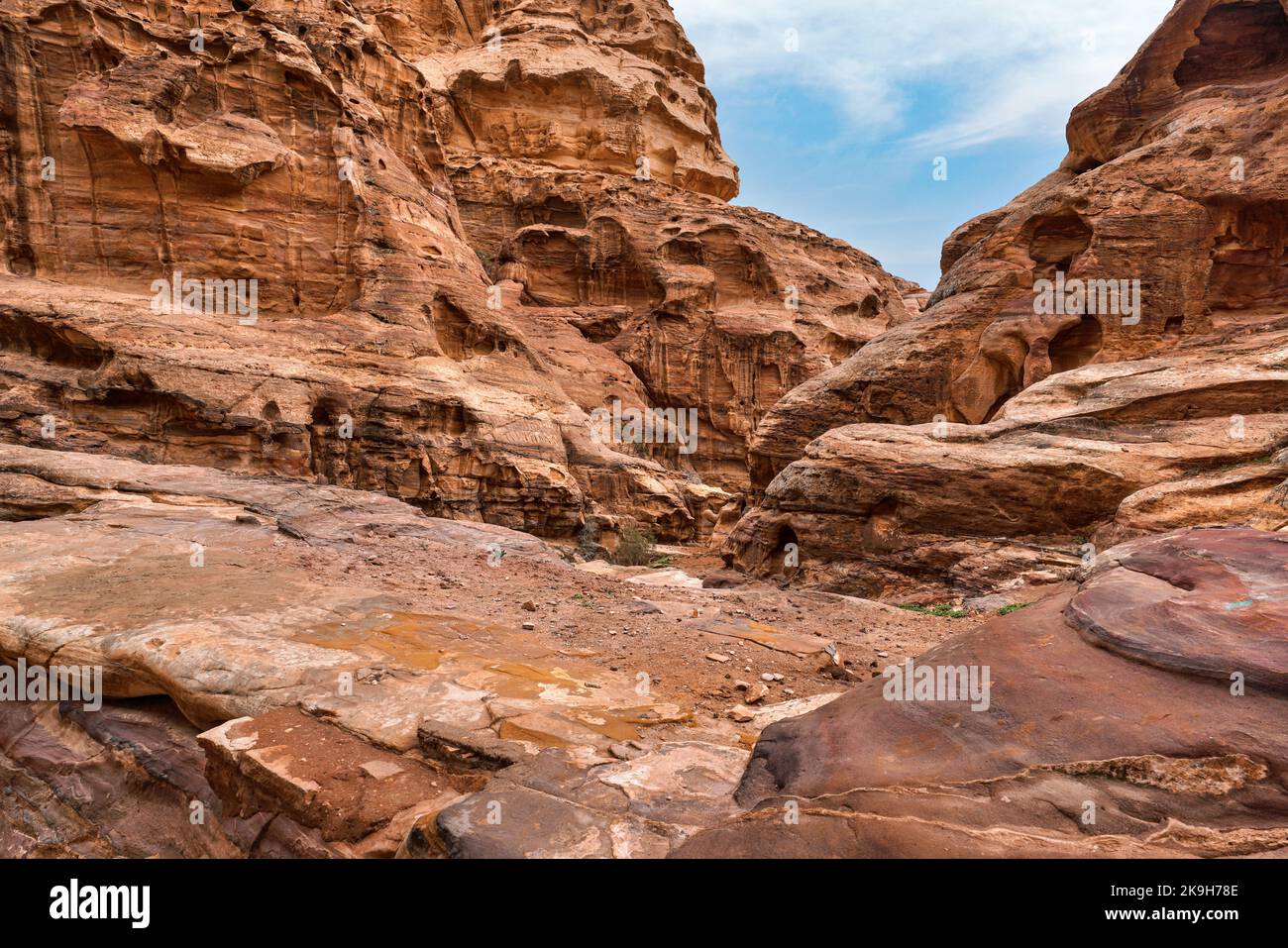 Typical landscape at Petra, Jordan, rocky walls around, few small green ...