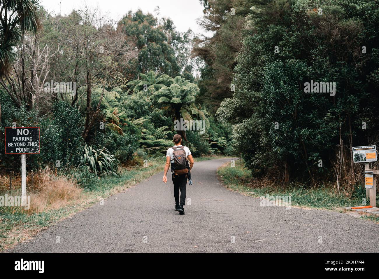 sporty young man with long hair tied back in a bun walking on nature ...