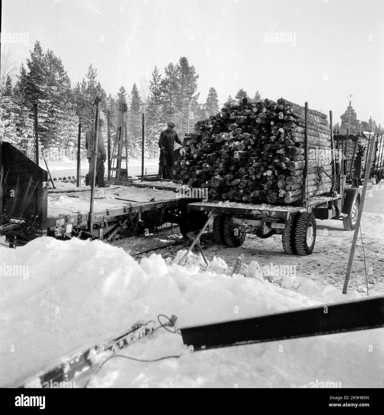 Loading of timber from truck to freight wagon with puller timber ...