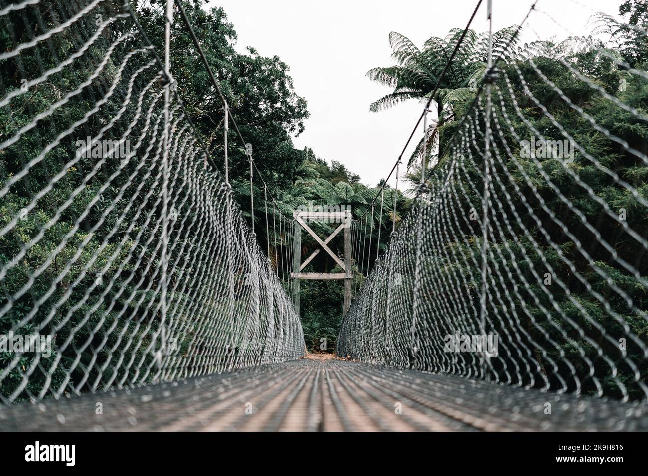 wooden floor of a long narrow metal bridge in the lush jungle with lots ...