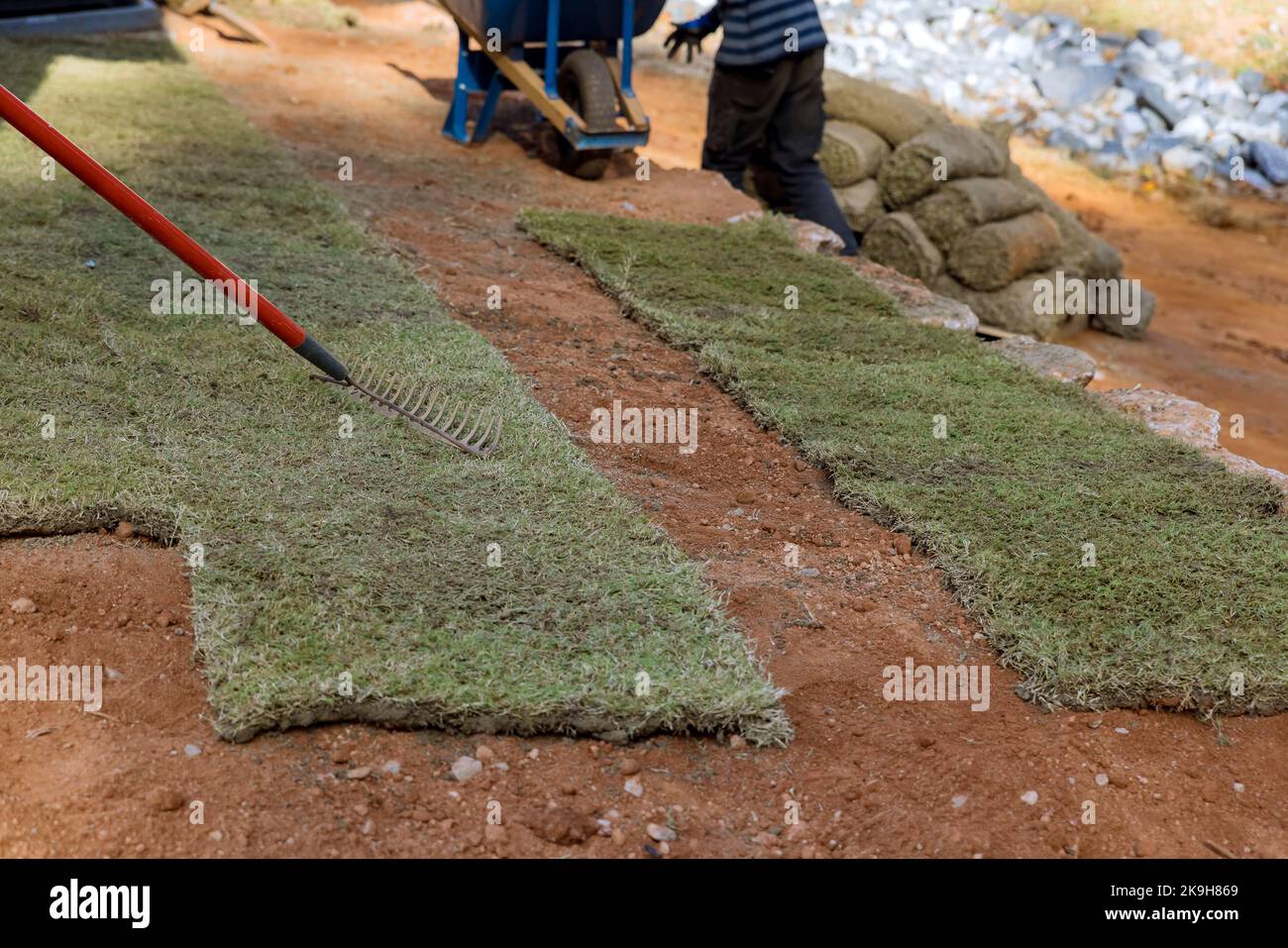 Material turf natural rolled lawn for landscaping territory with ...